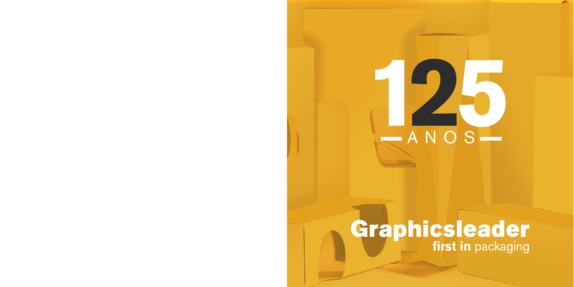 History | Graphics Leader